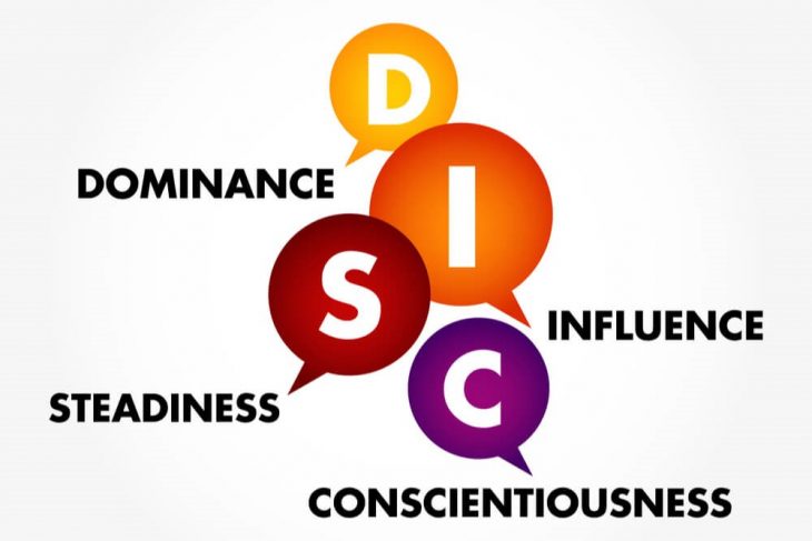 Teste DISC: O que é e como aplicar na sua empresa? - Blog FIA