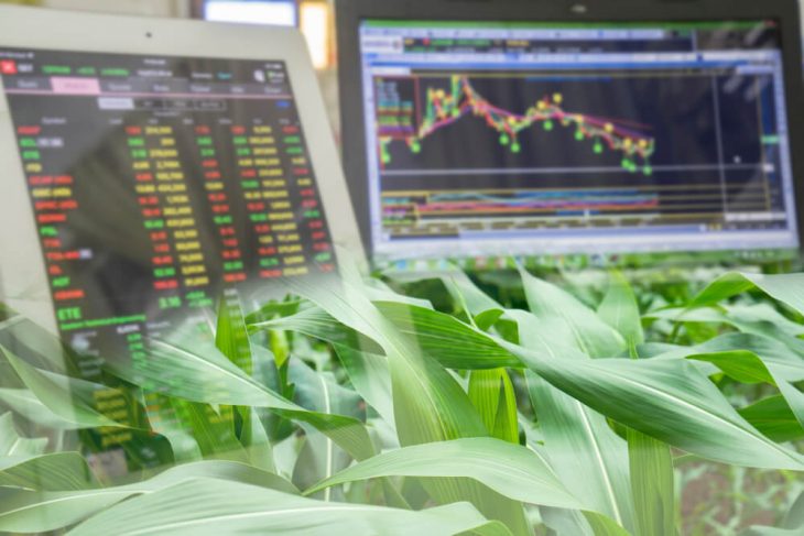 Commodities agrícolas: O que são, mercado e benefícios de investir ...