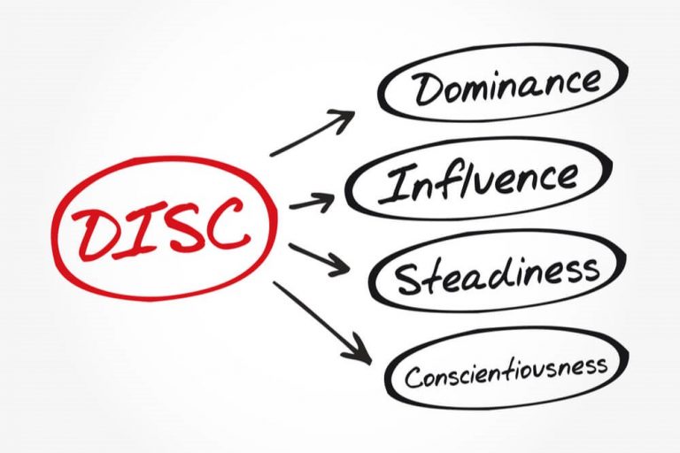 Teste DISC: O que é e como aplicar na sua empresa? - FIA