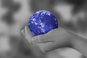 O que Significa Ser Eco-Friendly e Como se Tornar Um?